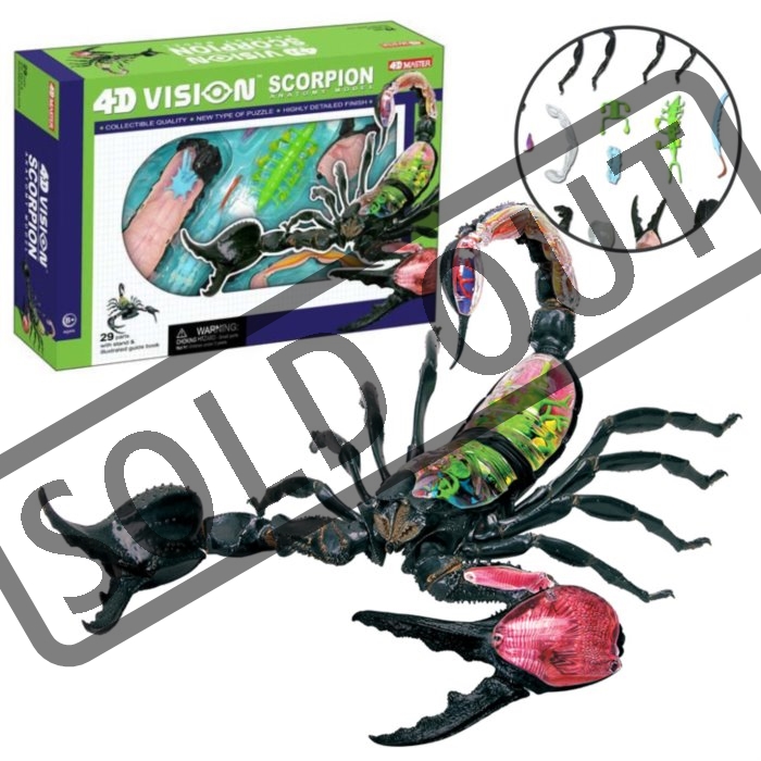 4D MASTER Anatomický 4D model - Štír | Puzzle-puzzle.cz