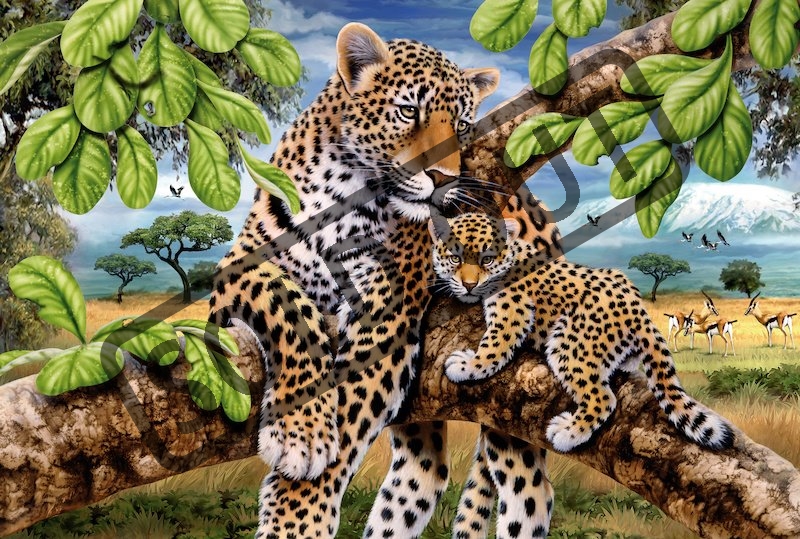 KING Puzzle Leopard s mládětem 500 dílků | Puzzle-puzzle.cz