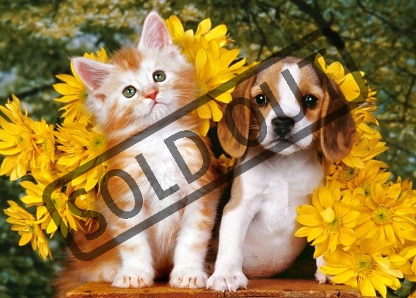 CASTORLAND Puzzle Štěně a kotě 108 dílků | Puzzle-puzzle.cz